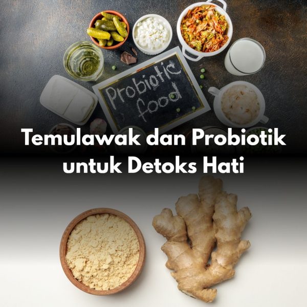 Temulawak dan Probiotik: Kombinasi Herbal Alami Detoks Hati